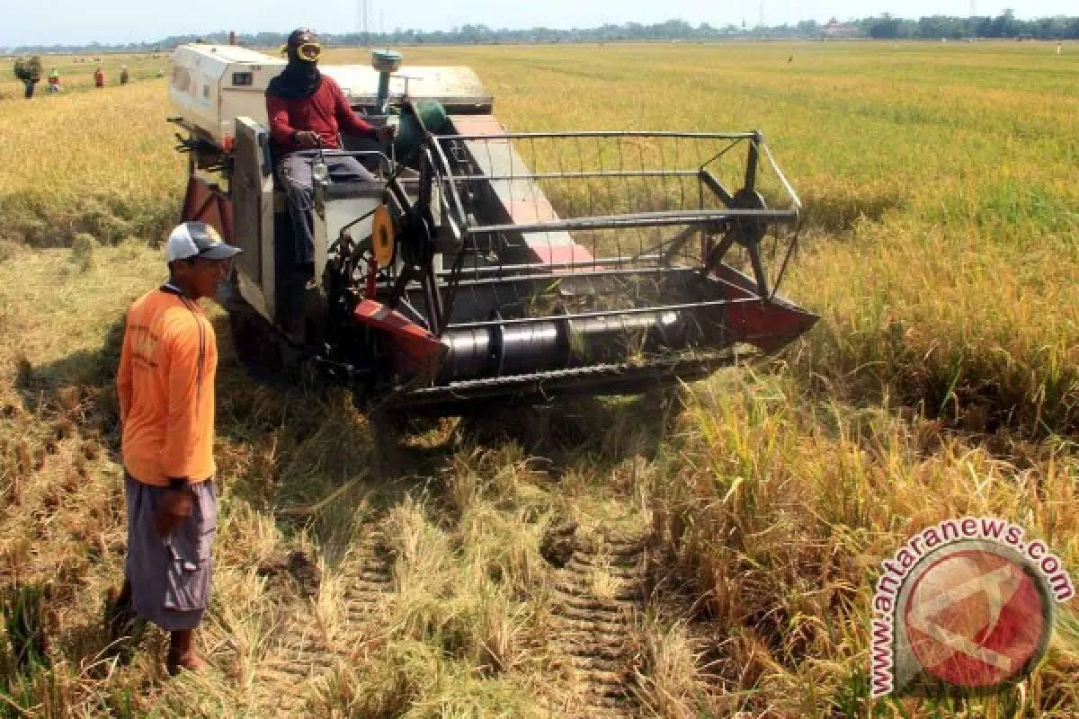 Mesin Potong Padi, Jurus Cepat Panen Padi - Toko Toss